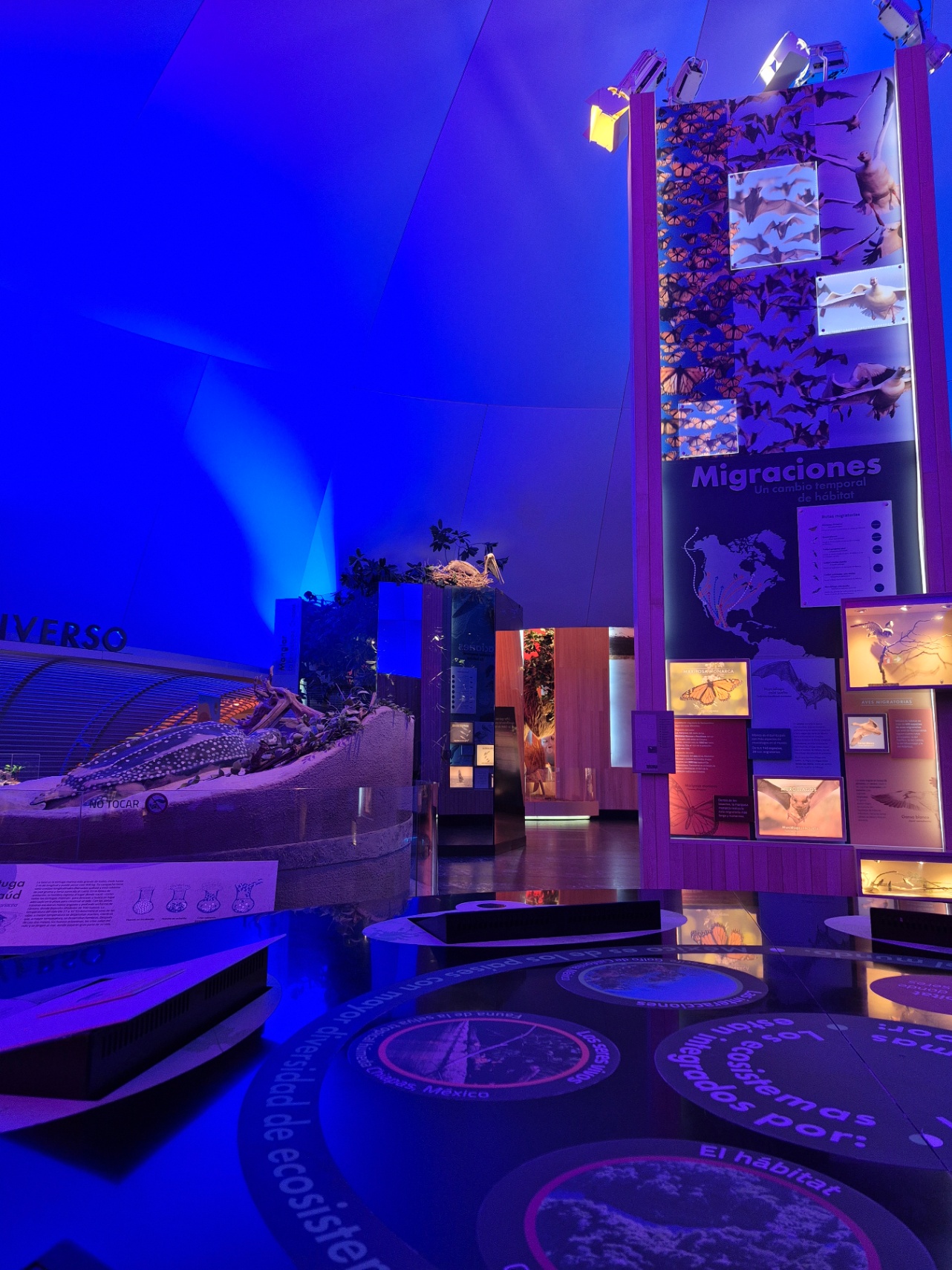 Karla Herrera | quaderno