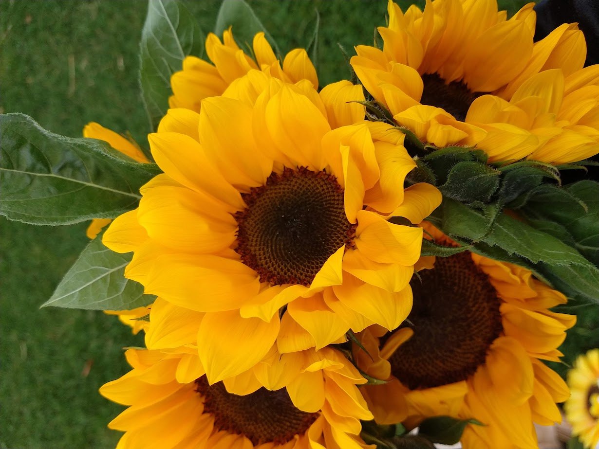 Two Days Later and Counting