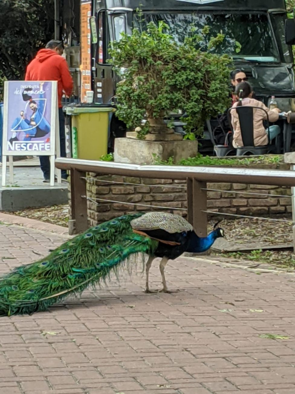 Líneas trazadas y letras. | quaderno