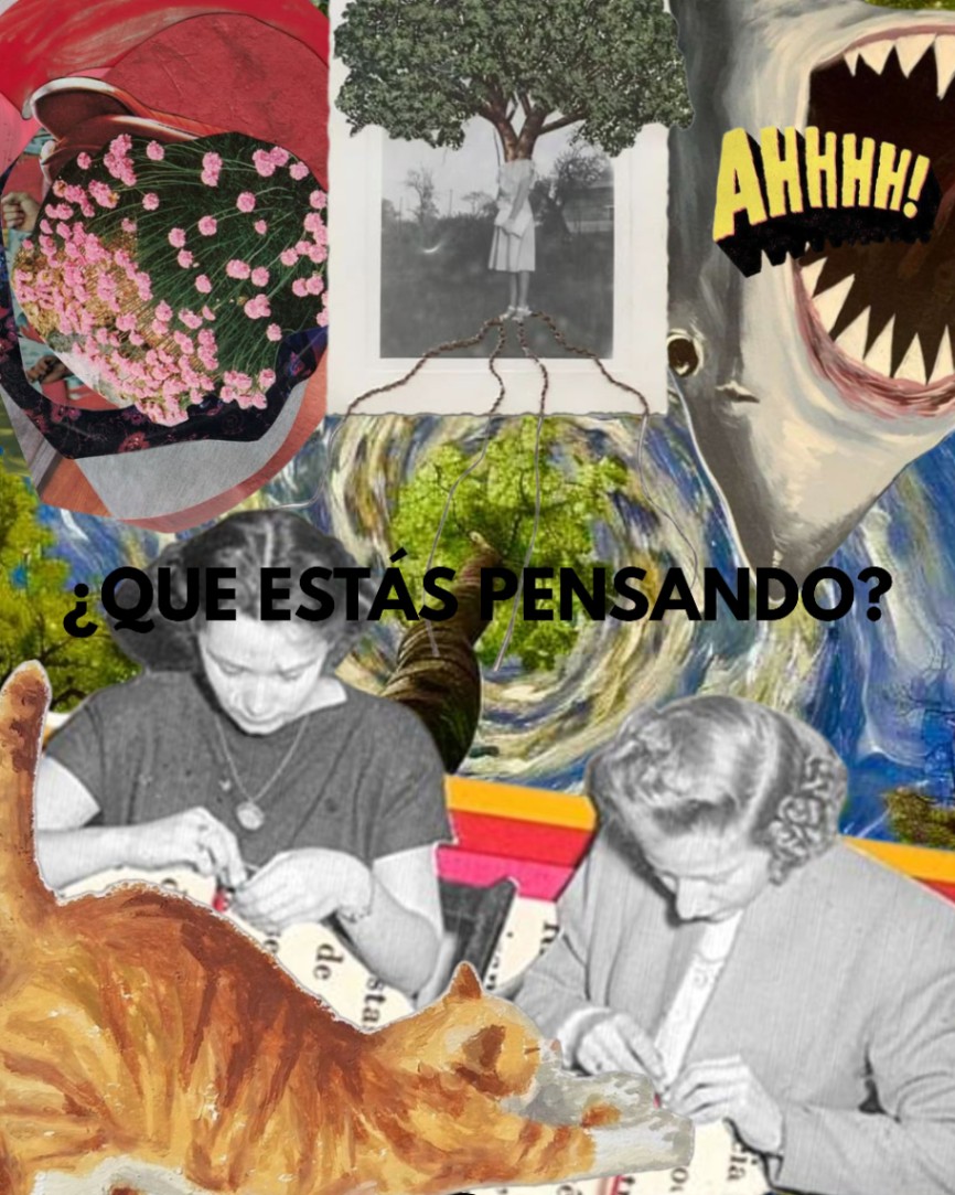 ¿Qué estás pensando? | quaderno