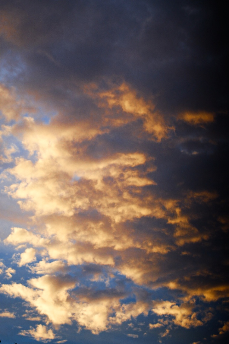 Yo Fotógrafo, Yo Pintor. | quaderno