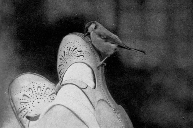 papá, arrulla a esta niña que aún te necesita | quaderno