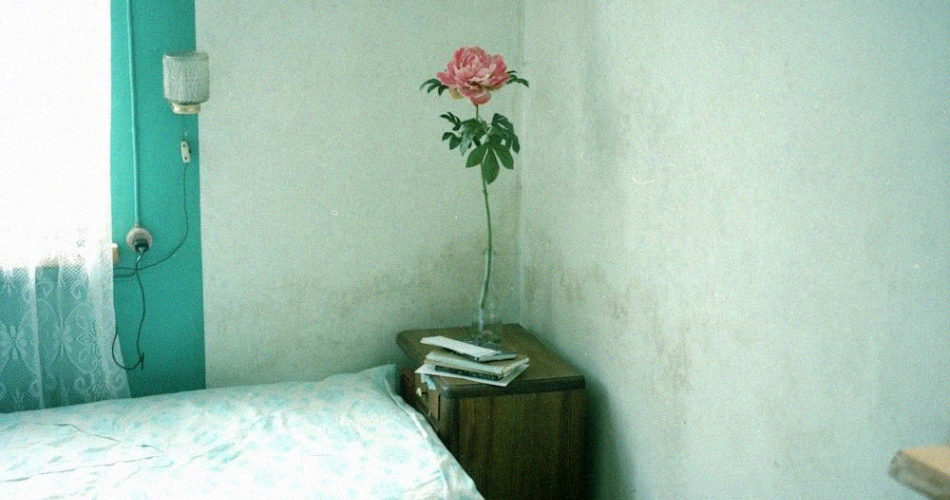 broken diary / behind the heart