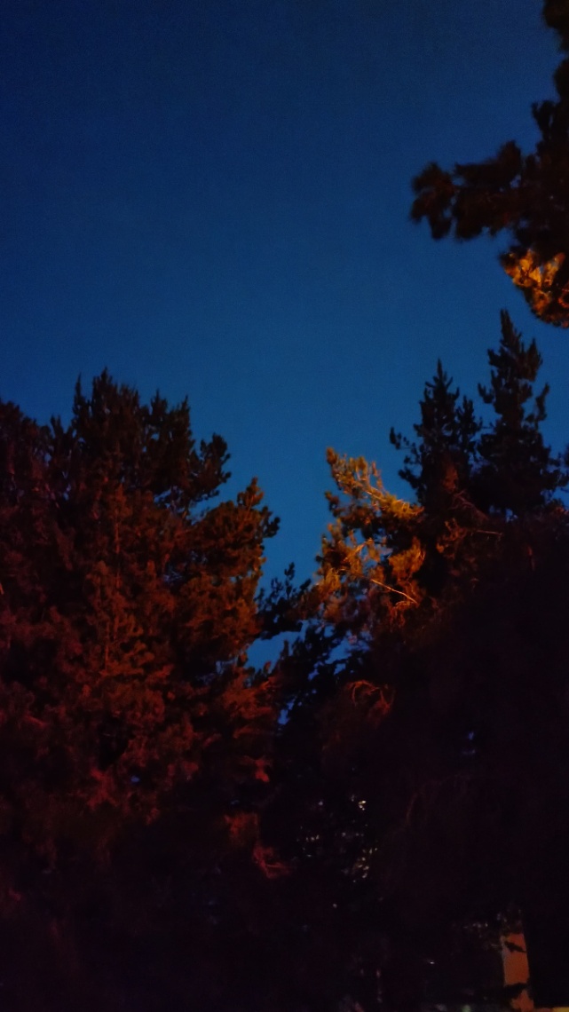 Te Necesito | quaderno