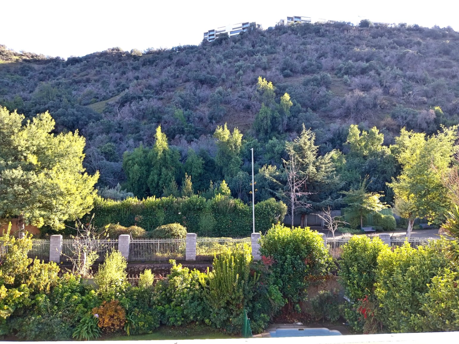 Nicolás O'leary | quaderno